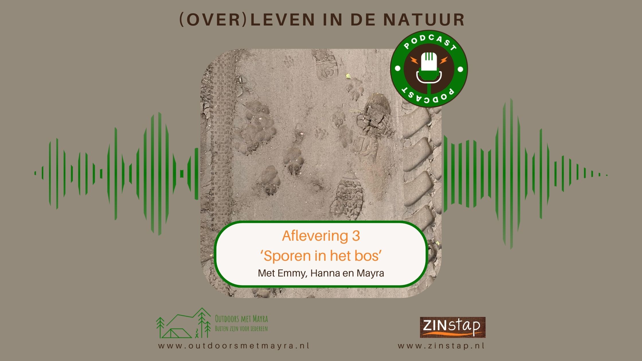 Vol enthousiasme kletsen over sporen in het bos • Podcast • Natuur